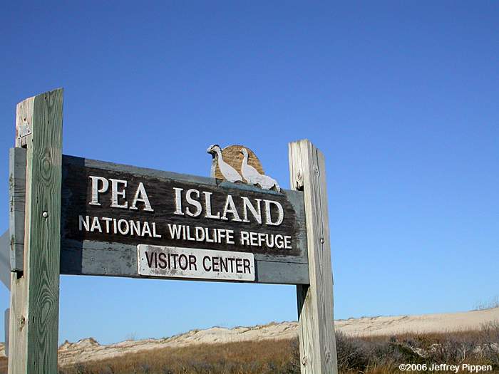 North Carolina Outer Banks Vistas